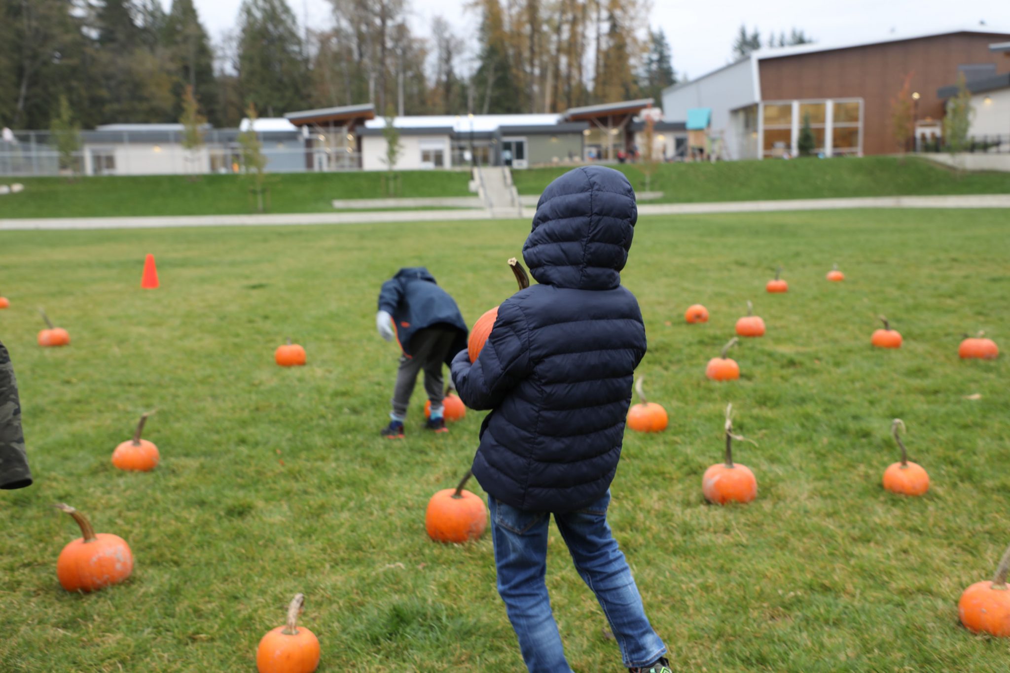 Pop-up pumpkin patch at c̓əsqənelə! | District Highlights | Maple Ridge ...